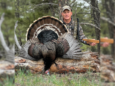 Limited Edition Turkey Calls - 4-Play Turkey Calls